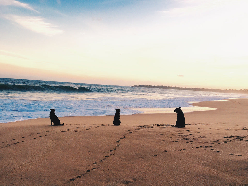 Australian Activewear & Yoga Clothing l Kula Athletic Family l Kula ...